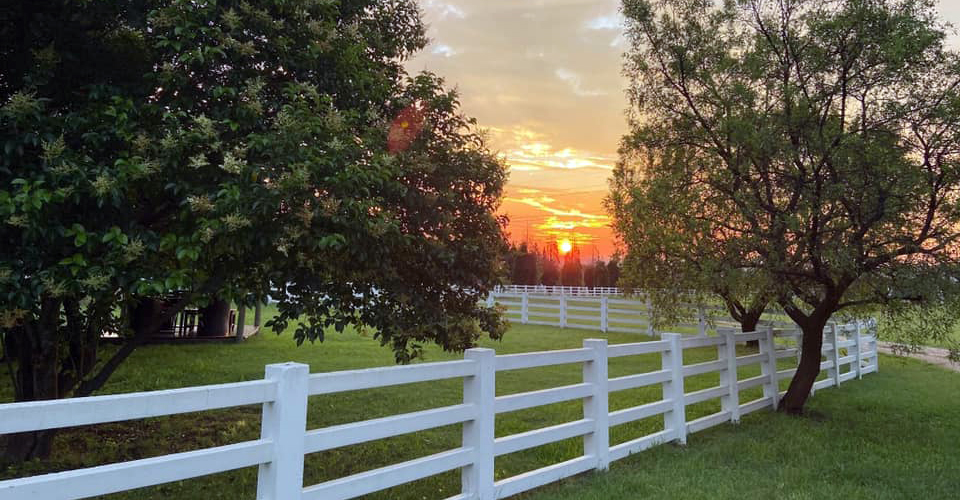 Body Sense Group - Day Spa - Treatment - Man